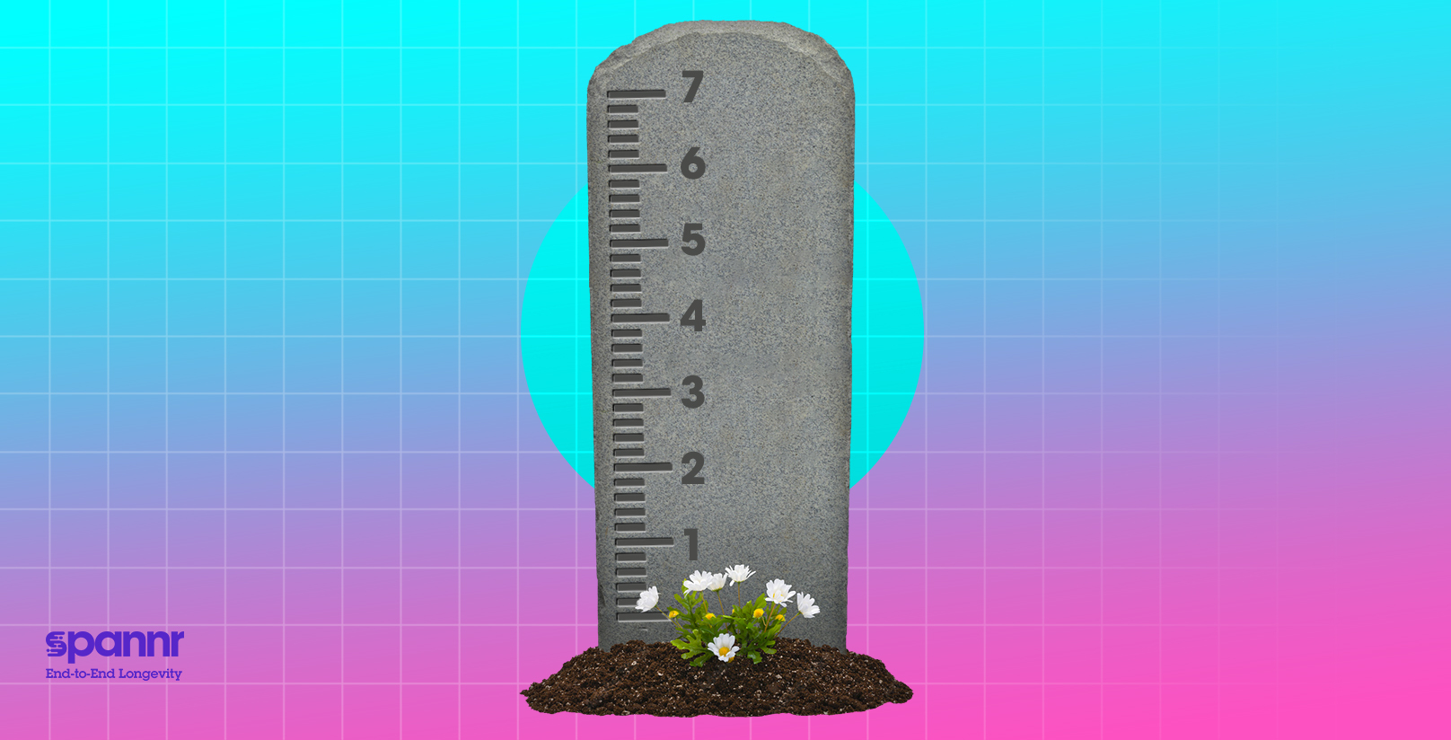 Does Height Affect Lifespan Spannr Does Height Affect Lifespan Spannr